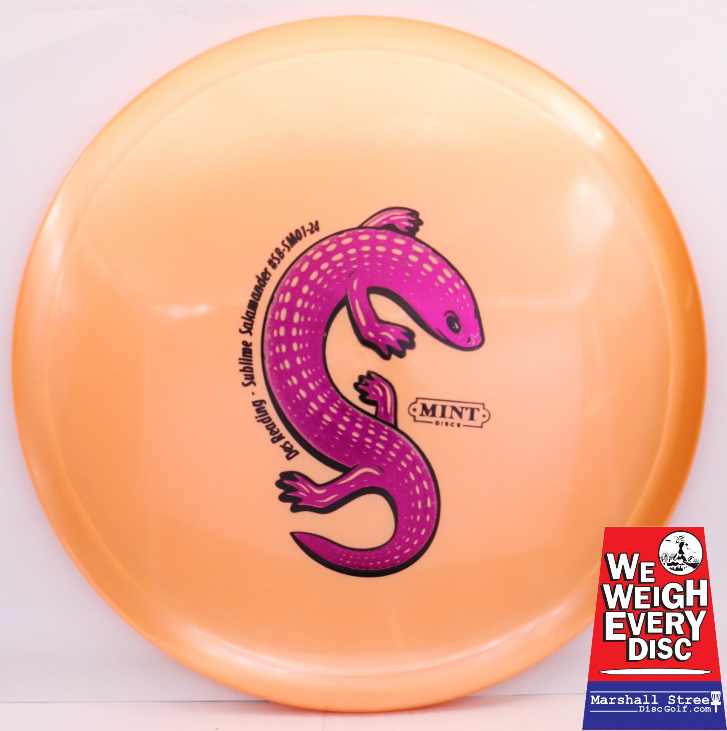 Sublime Salamander, Des Reading • Marshall Street Disc Golf